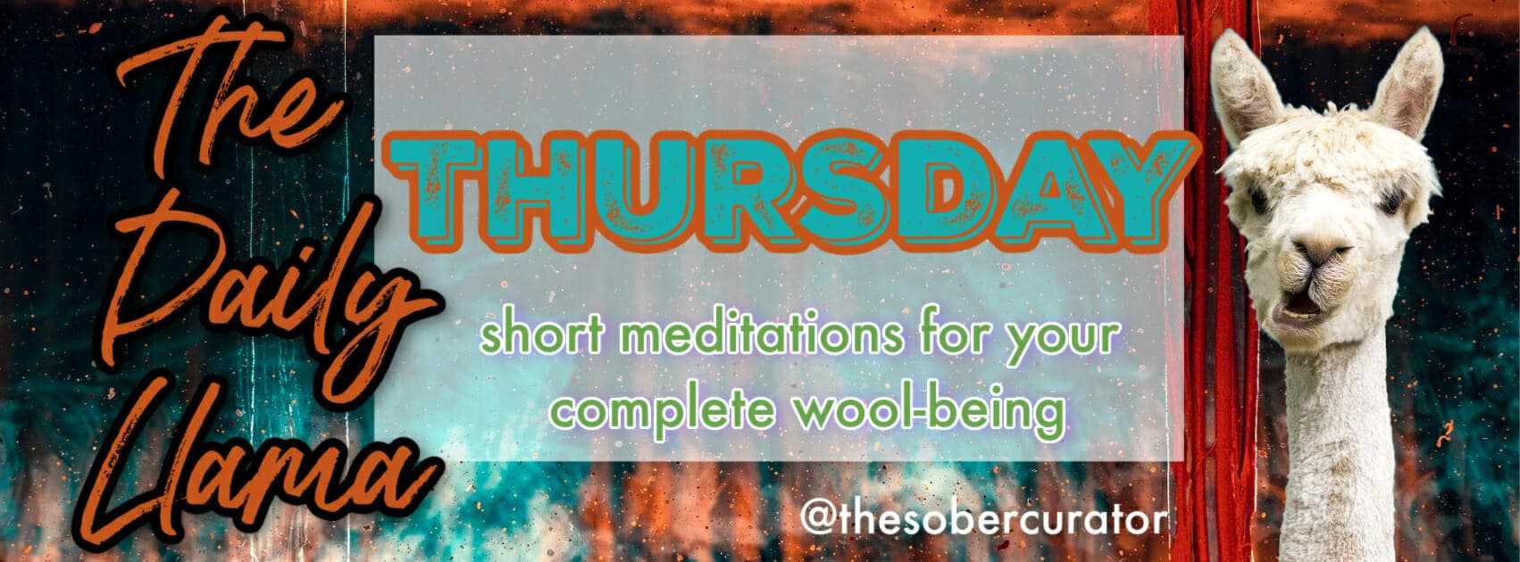 Daily Llama THURSDAY | The Sober Curator