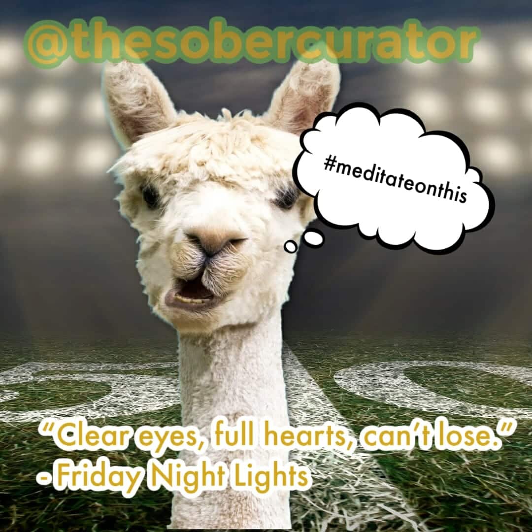 The Daily Llama word of the day for the week of September 28th through ...