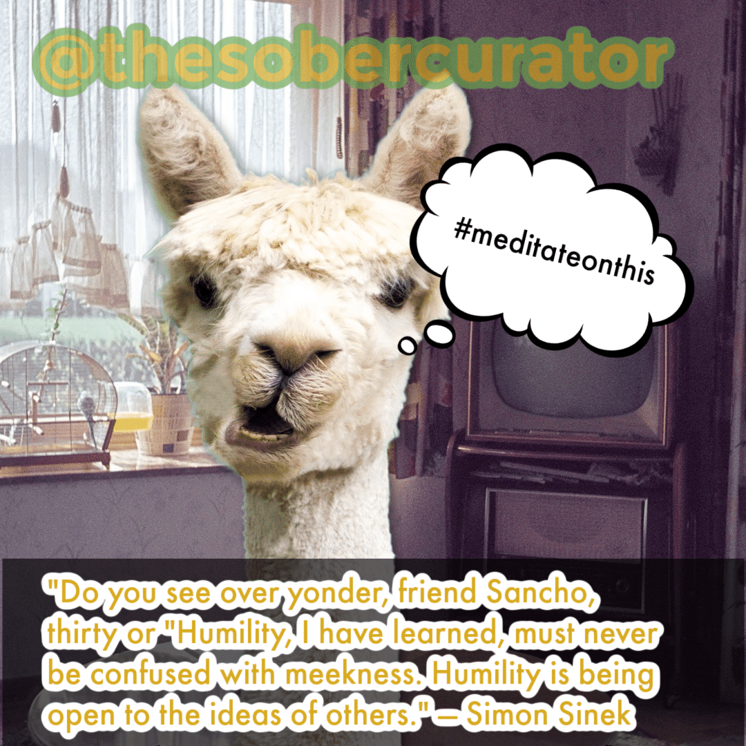 The Daily Llama Tv Simon Sinek | The Sober Curator