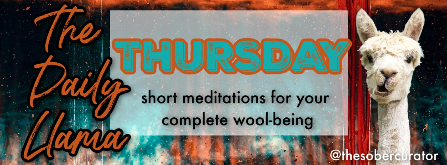The Daily Llama Short Meditations And Sober Word Of The Day