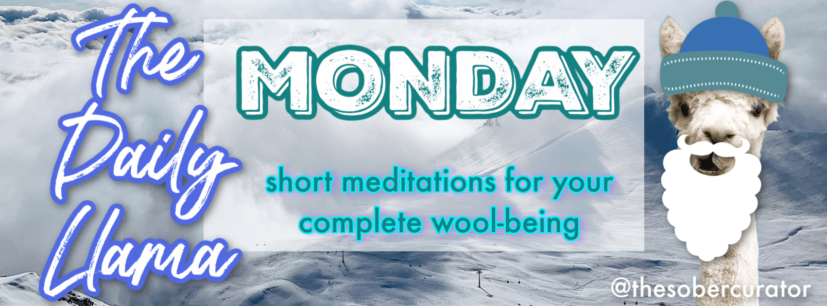 Daily Llama Monday December | The Sober Curator