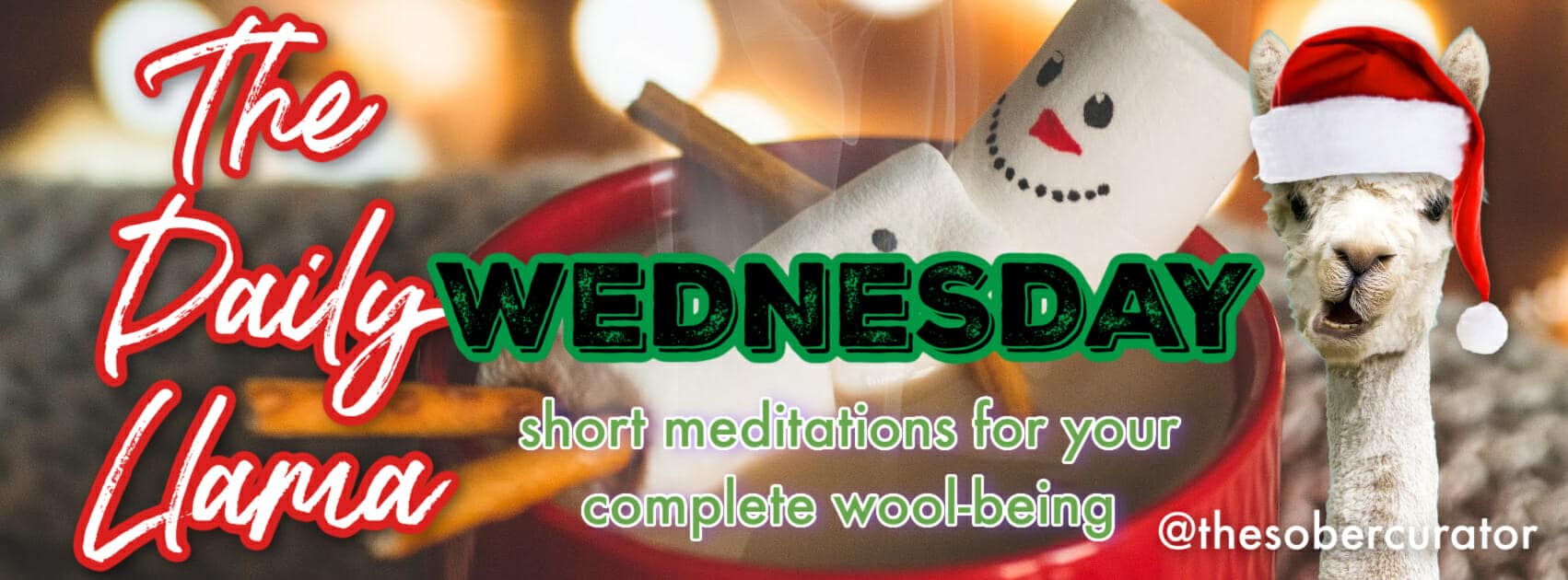 Daily Llama WEDNESDAY December | The Sober Curator