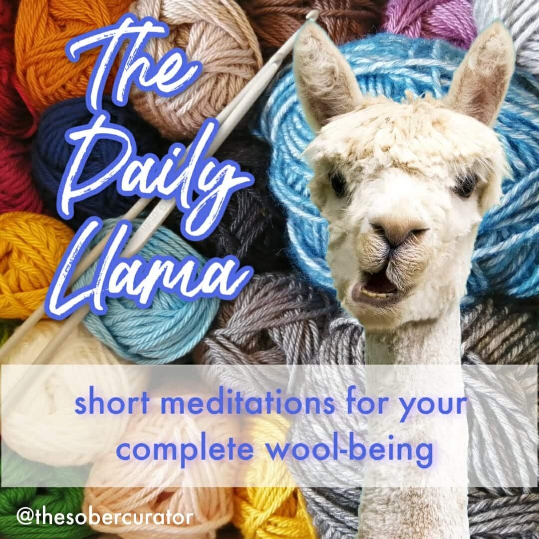 Daily Llama Wool Being Instagram | The Sober Curator