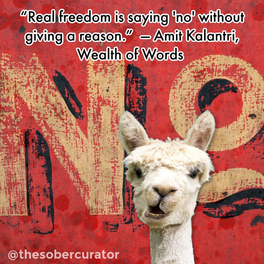 The Daily Llama No | The Sober Curator