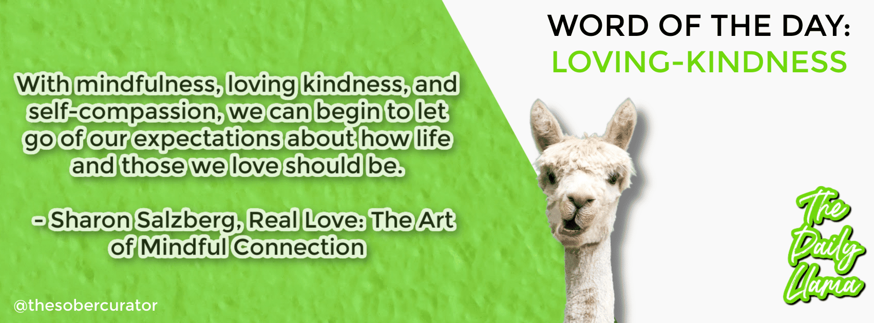 LOVING KINDNESS 1 | The Sober Curator