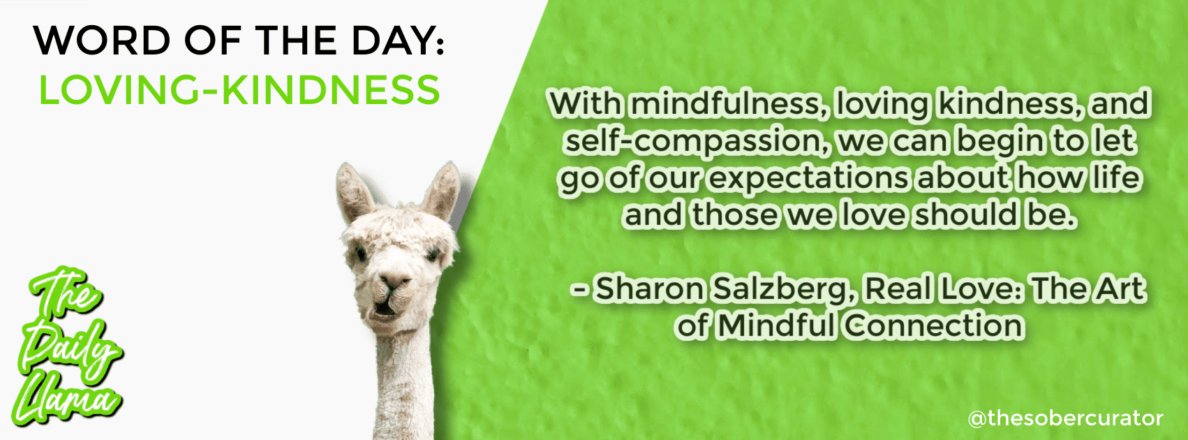 LOVING KINDNESS | The Sober Curator