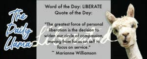 The Daily Llama: Sober Word Of The Day Sober Quote Of The Day