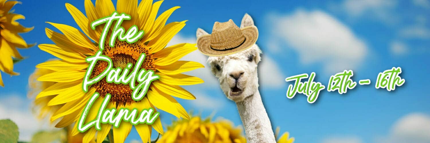 The Daily Llama Brings You the Word of The Day with Short Meditations ...