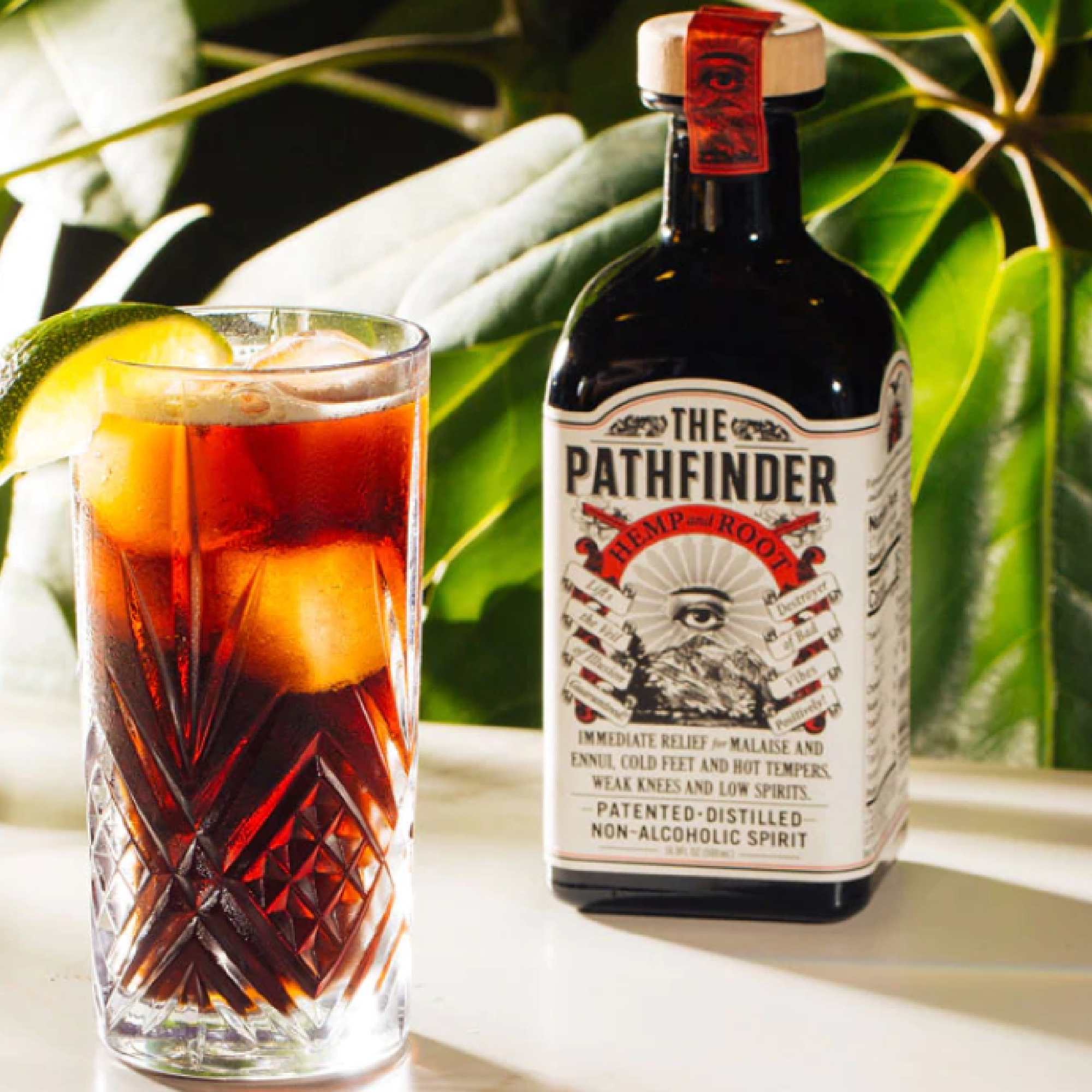 Pathfinder Non-Alcoholic Spirit Review: A Hemp-Based Alternative Worth ...